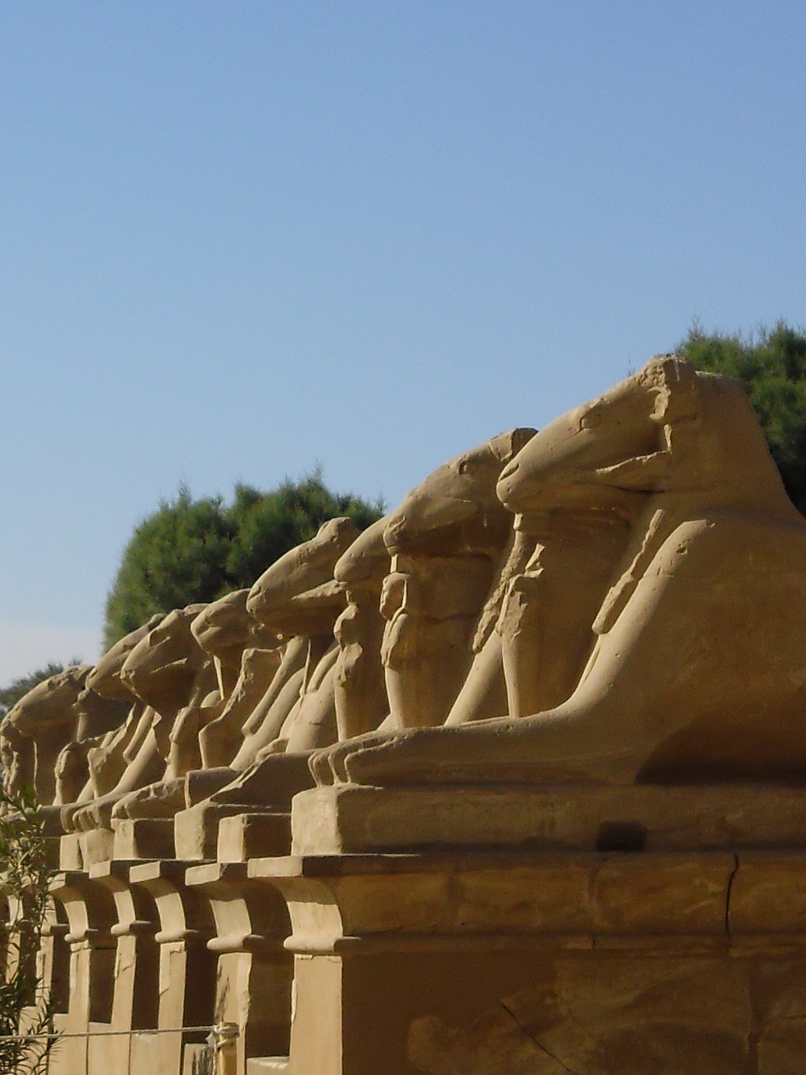 Myos Hormos | Egypt | Archaeolist