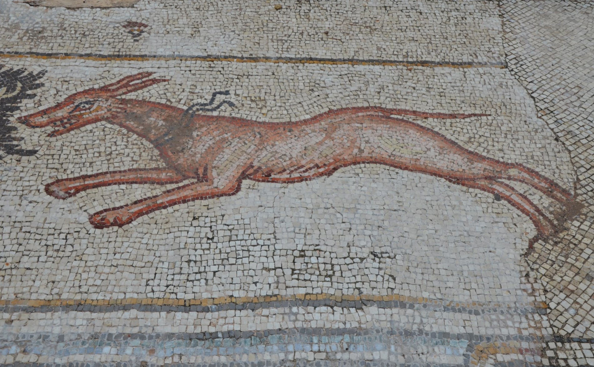 Birds Mosaic (Caesarea) | Israel | Archaeolist