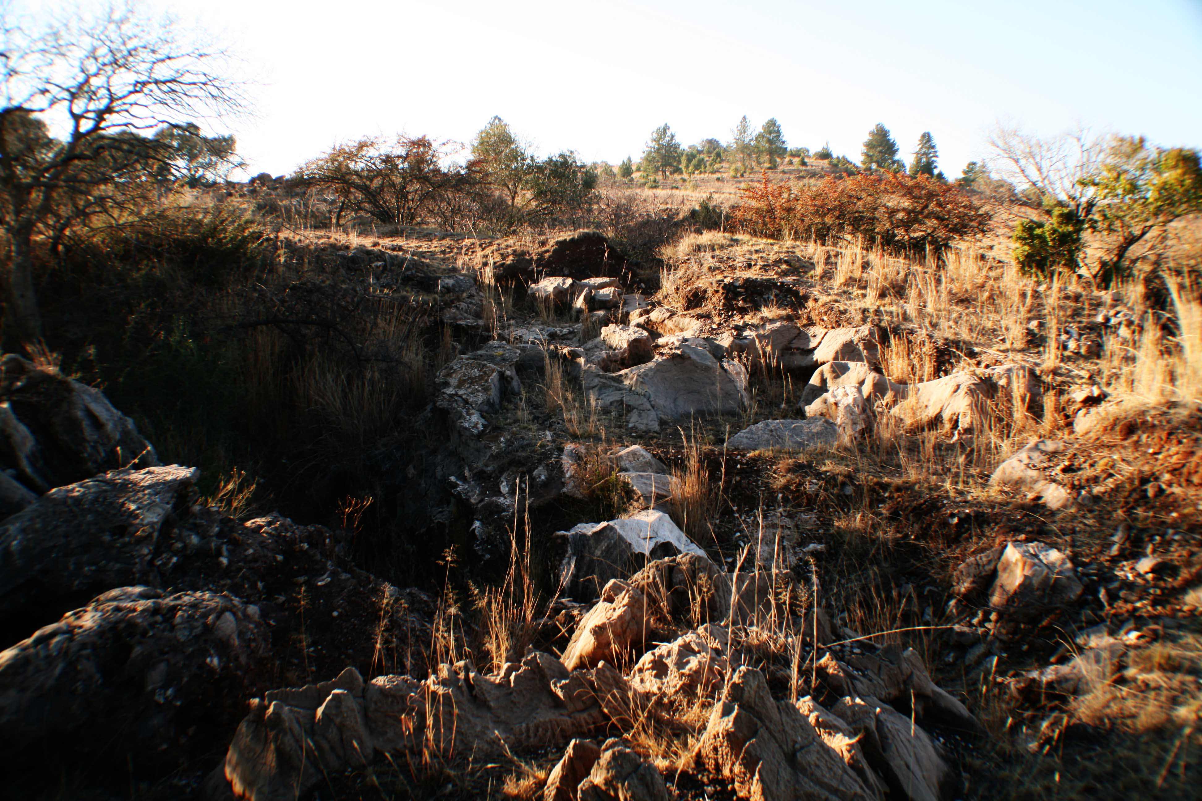 Kromdraai fossil site | South Africa | Archaeolist