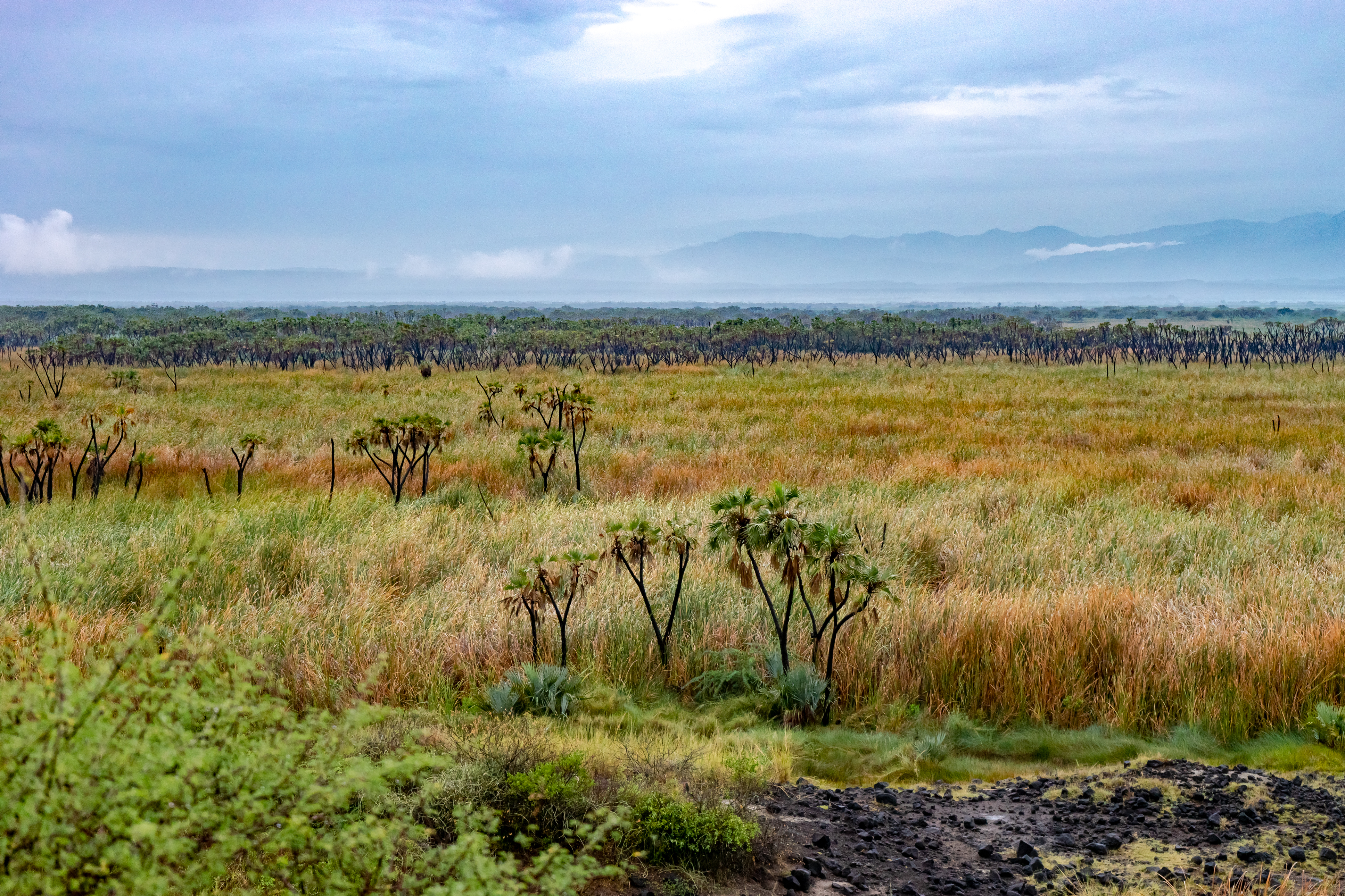 Hadar, Ethiopia | Ethiopia | Archaeolist