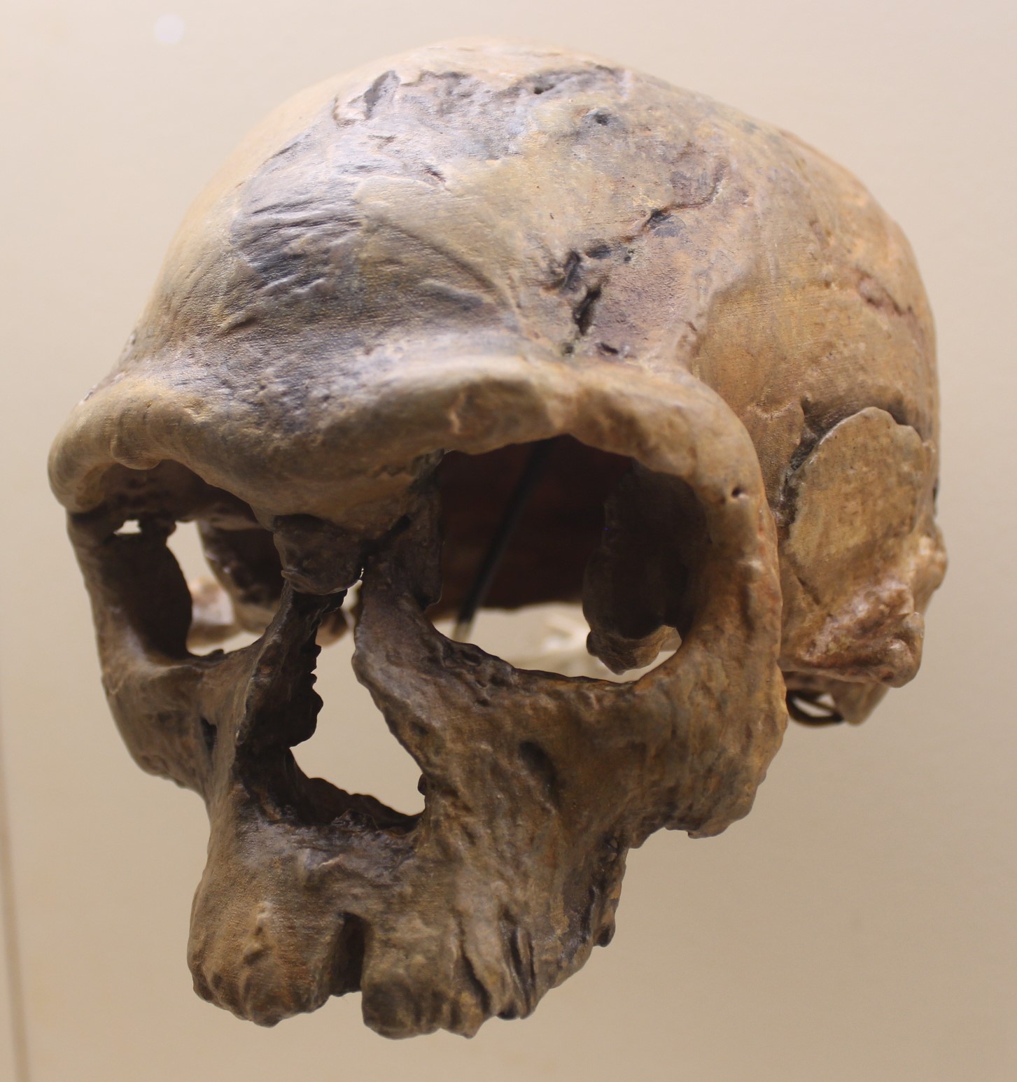 Jebel Irhoud | Morocco | Archaeolist