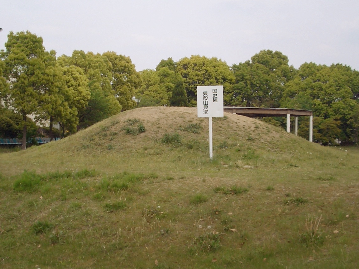 Kaigarayama Shell Midden | Japan | Archaeolist