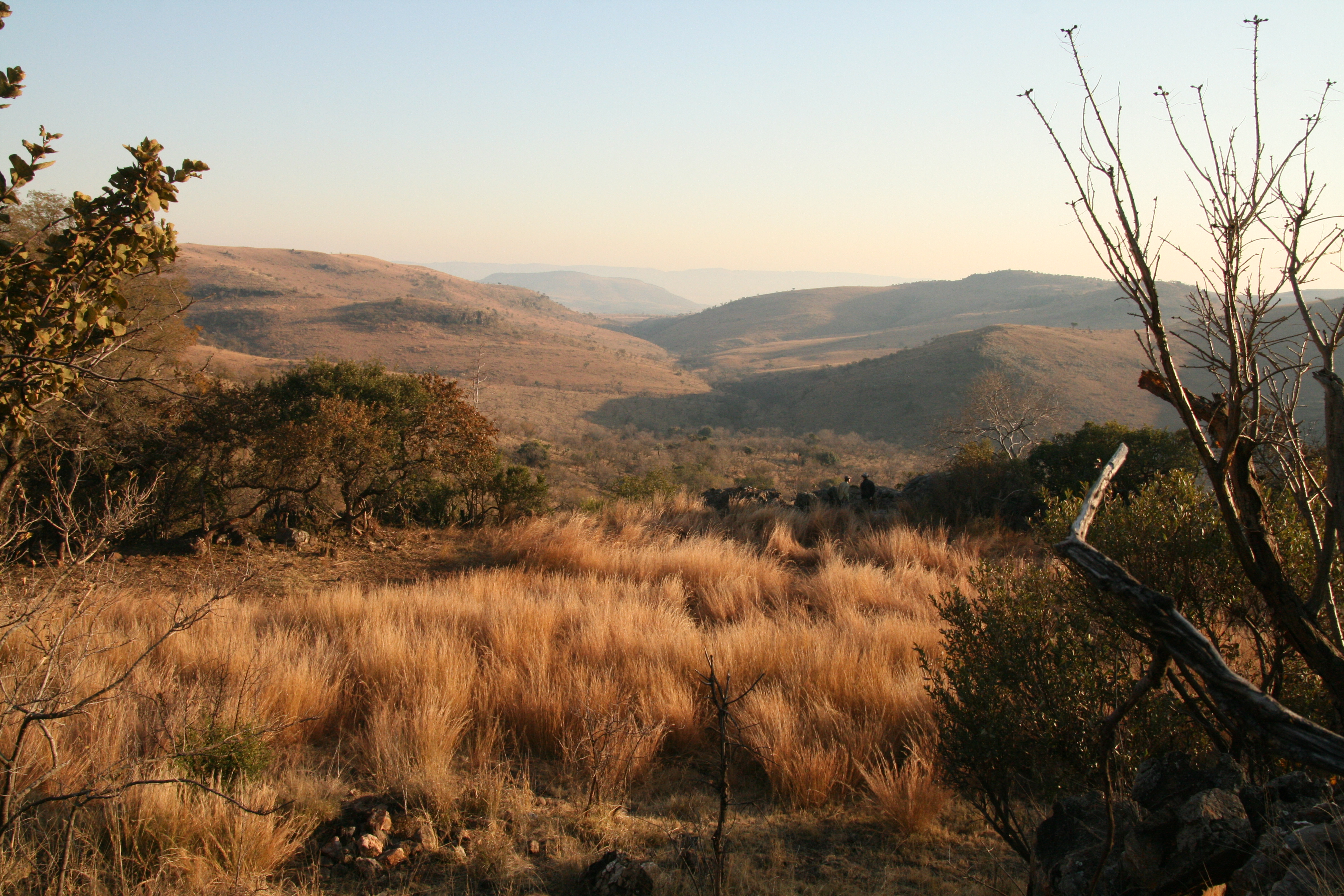 Malapa Fossil Site, Cradle of Humankind | South Africa | Archaeolist